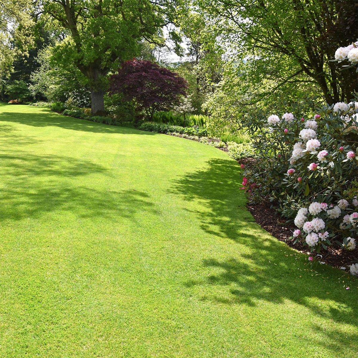 Aeration Service - North Point Outdoors