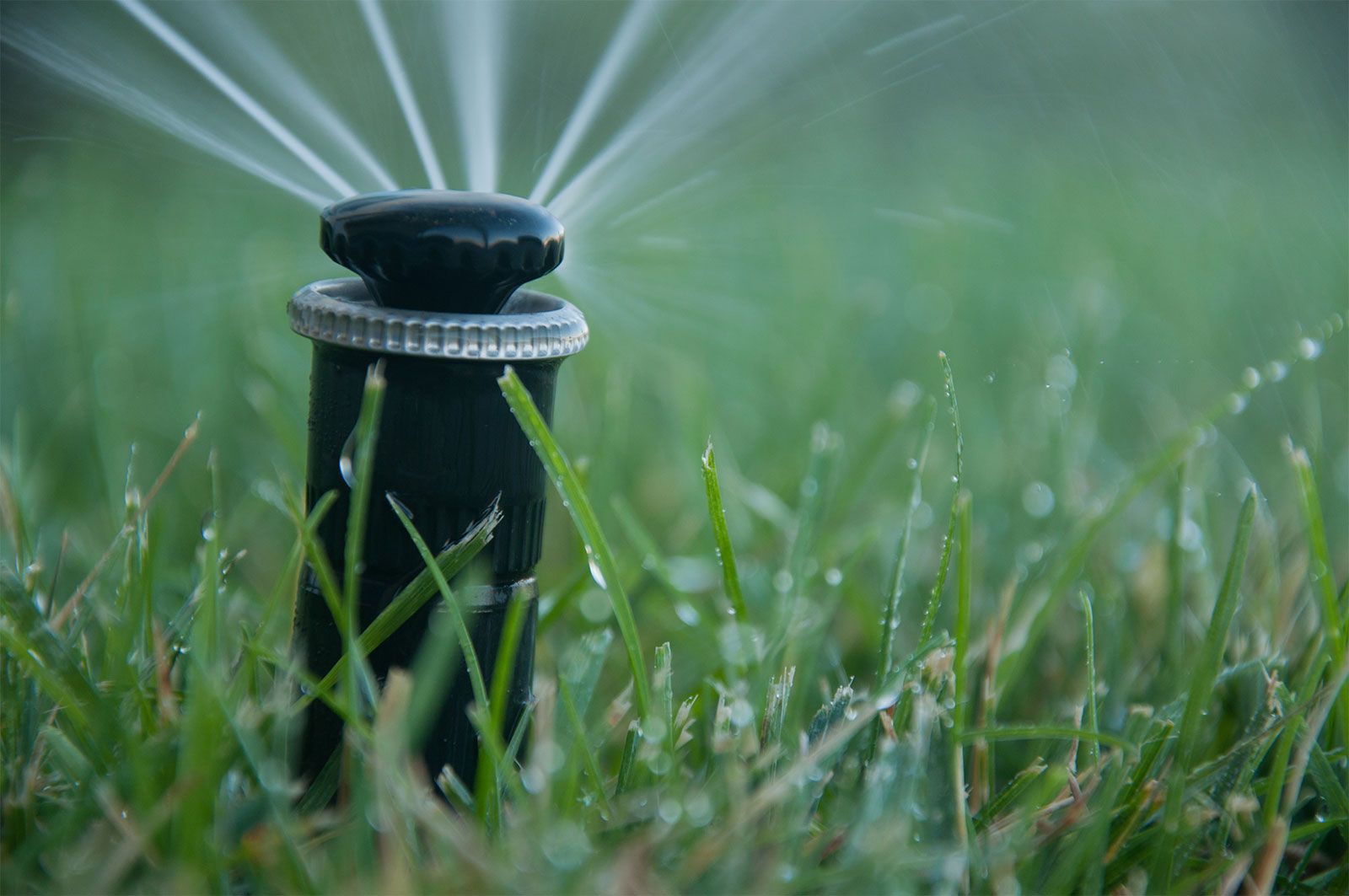 Residential Irrigation Installation and Maintenance - North Point Outdoors